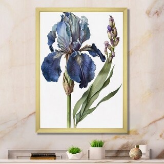 Designart "Blue Iris Botanical Illustration" Irises Framed Wall Art Prints - Bed Bath & Beyond ...